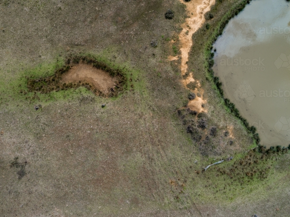 Image of Rural paddock with large dam full of muddy water and small dry ...