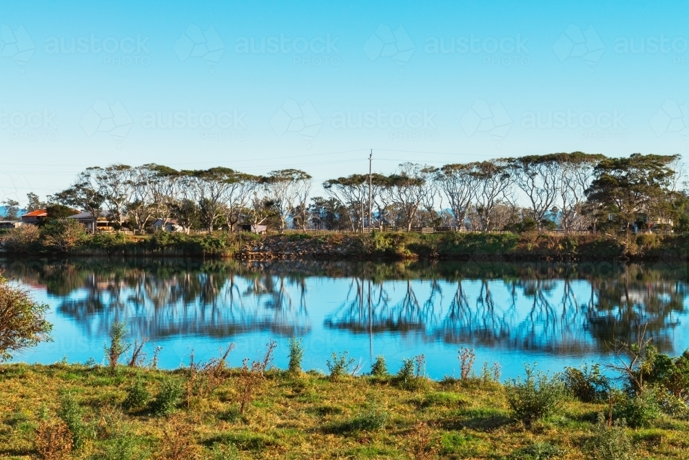 Image of Rural scene in northern nsw, small river with trees - Austockphoto