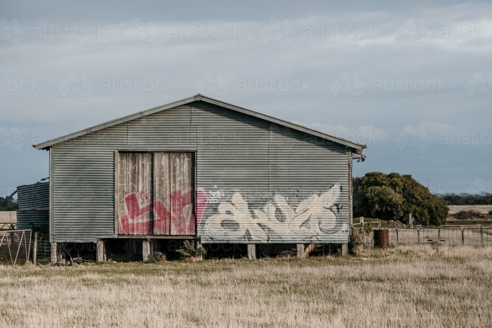 Image of Rural shed with graffiti on grassy landscape - Austockphoto