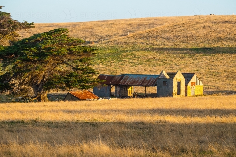 Image of Rustic and rambling shedding in a paddock - Austockphoto