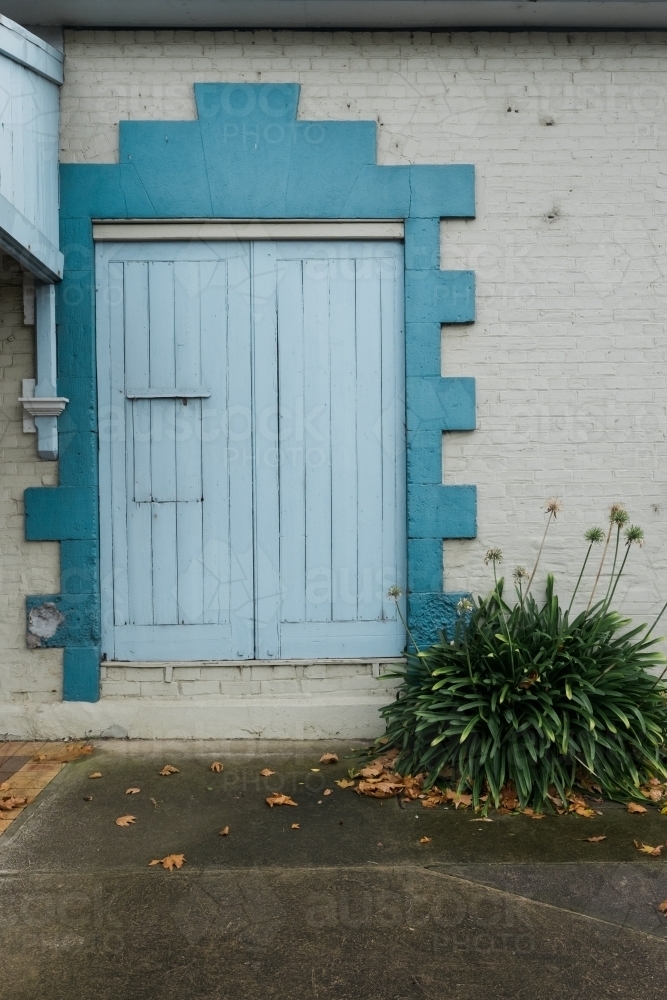 Rustic Blue Door