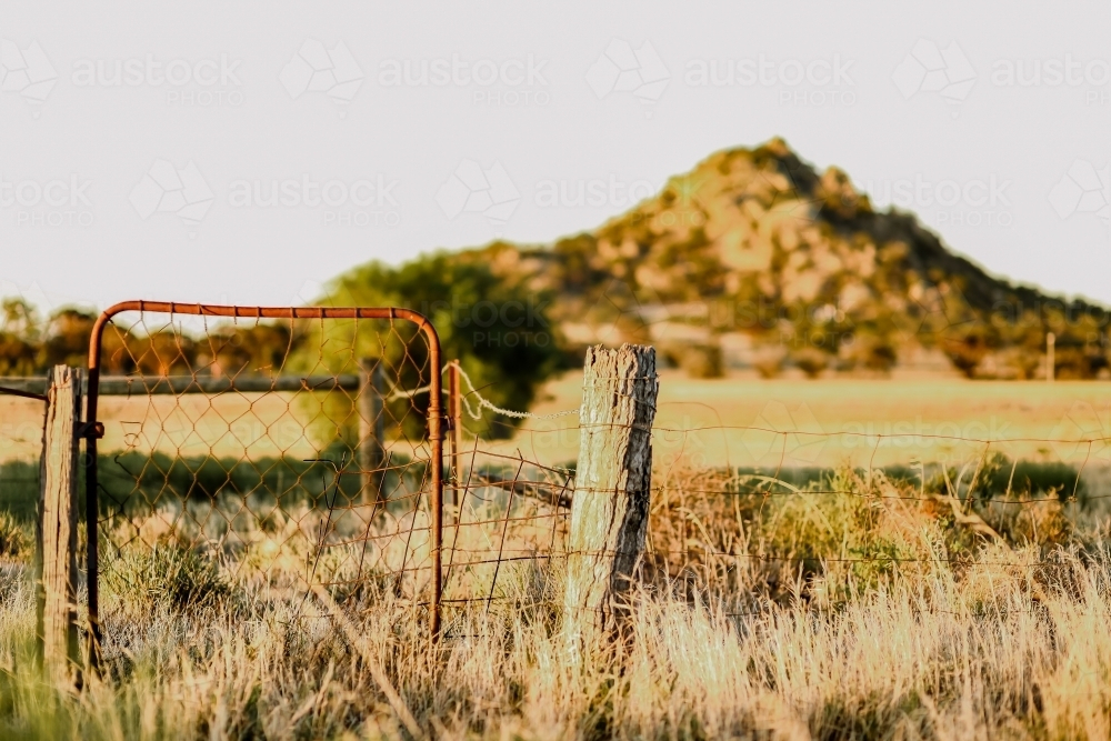 Image of Rustic farm gate leading to dry paddock with Pyramid Hill in ...