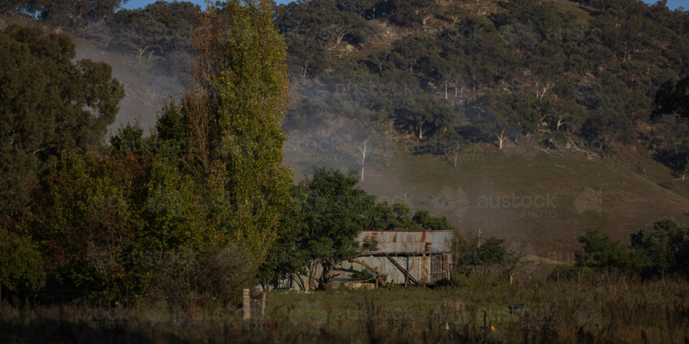 Image of Rustic old shed in rural Australian landscape with morning fog ...