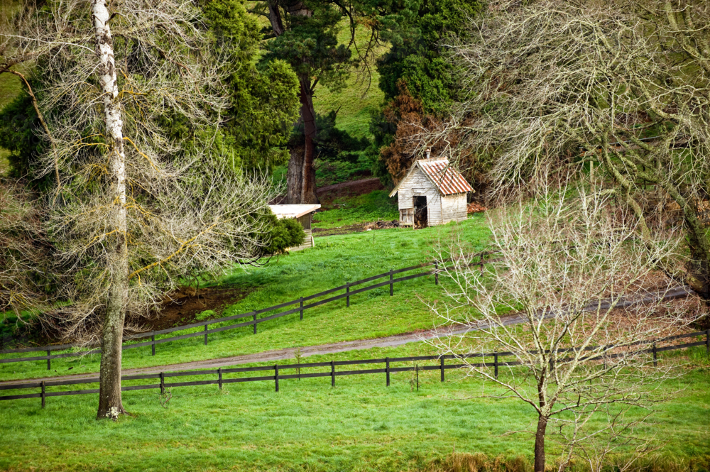 Image of Rustic wooden hut among green fields and bare winter trees ...