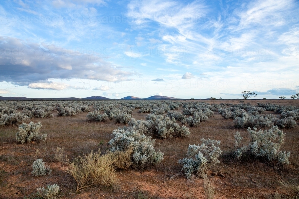 Image of salt bush plains with hills in distance - Austockphoto