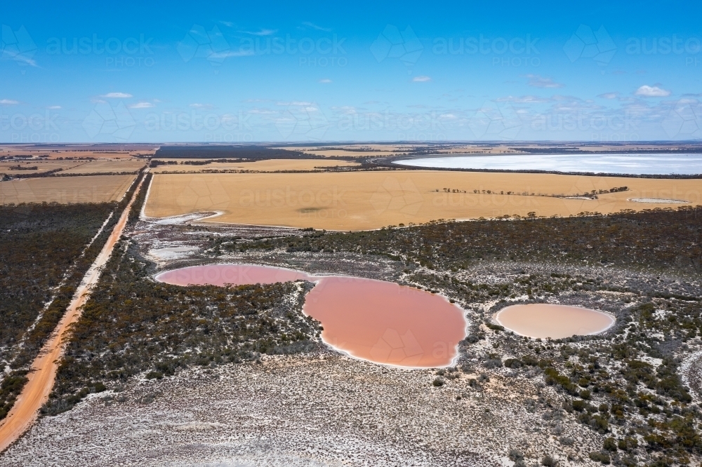 Image of salt lakes in arid rural landscape with unsealed road ...