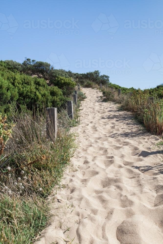 Image of Sandy beach track - Austockphoto