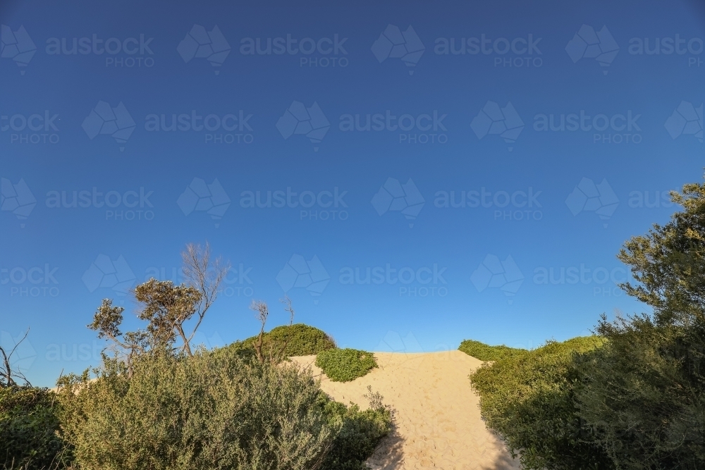 Image of Sandy beach track over dune with bright blue sky - Austockphoto