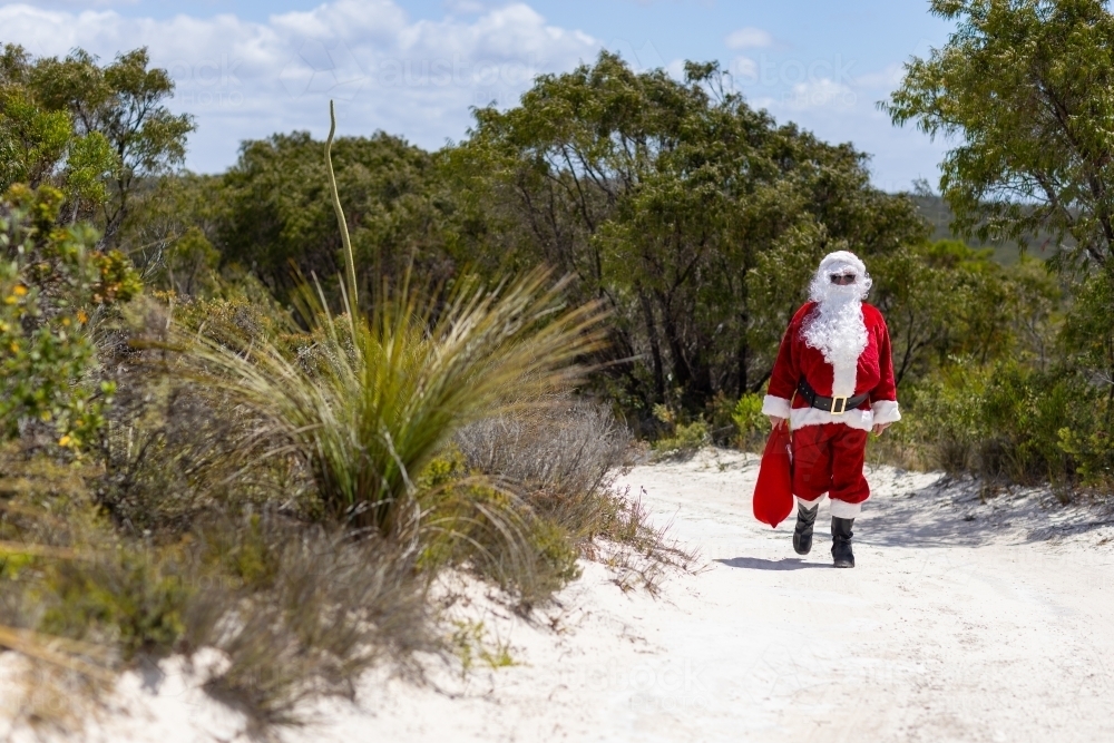 Image of Santa walking down a sandy track past grass tree in bushland ...