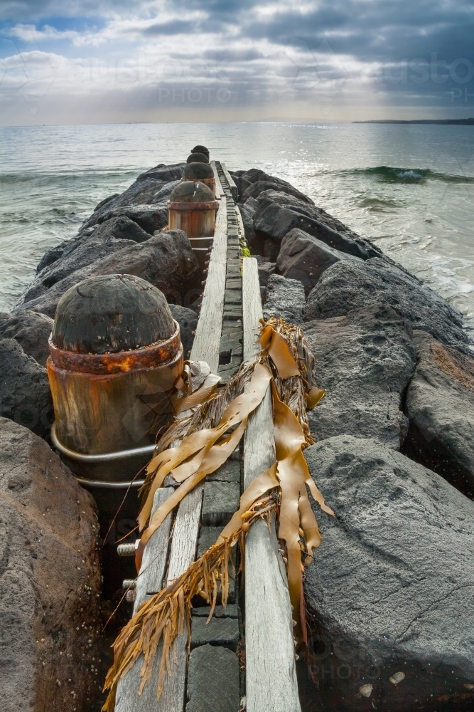 Image of Seaweed draped over a timber and rock groyne jutting out into ...