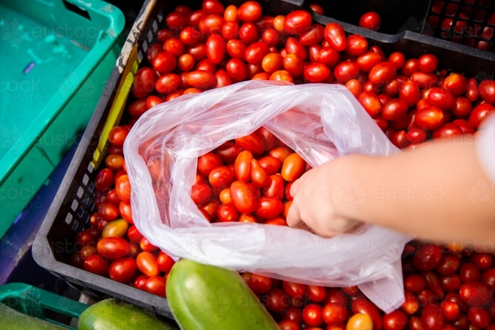 Image of selecting grape tomatoes to buy at the farmers markets ...