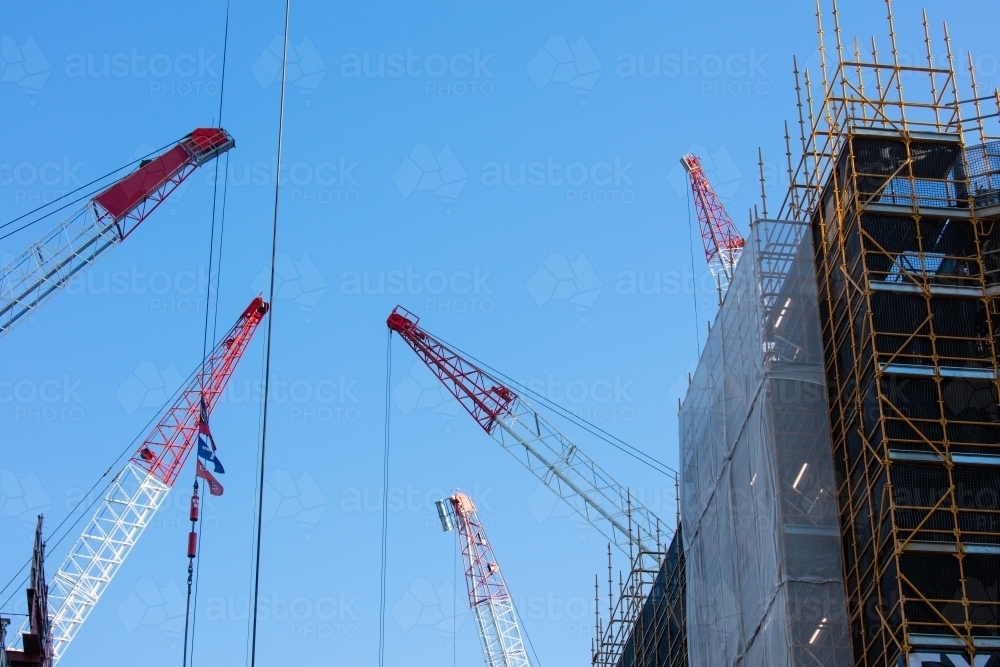 Image of Several cranes operating in the Brisbane CBD - Austockphoto