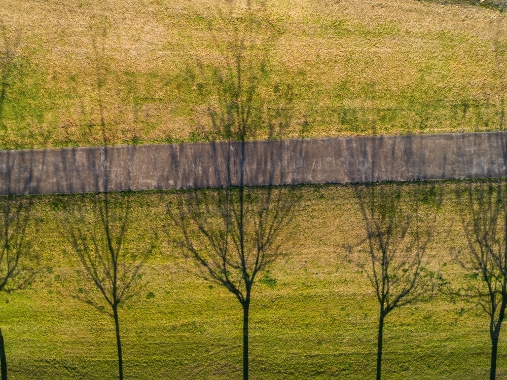 Image of Shadows of bare branched winter trees falling over footpath in ...