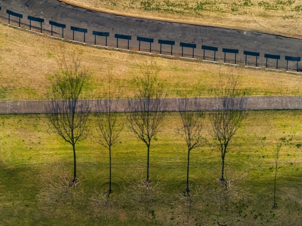 Image of Shadows of bare branched winter trees falling over footpath in ...