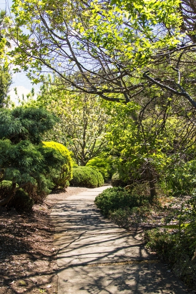 Image of Shady path winding through a garden - Austockphoto
