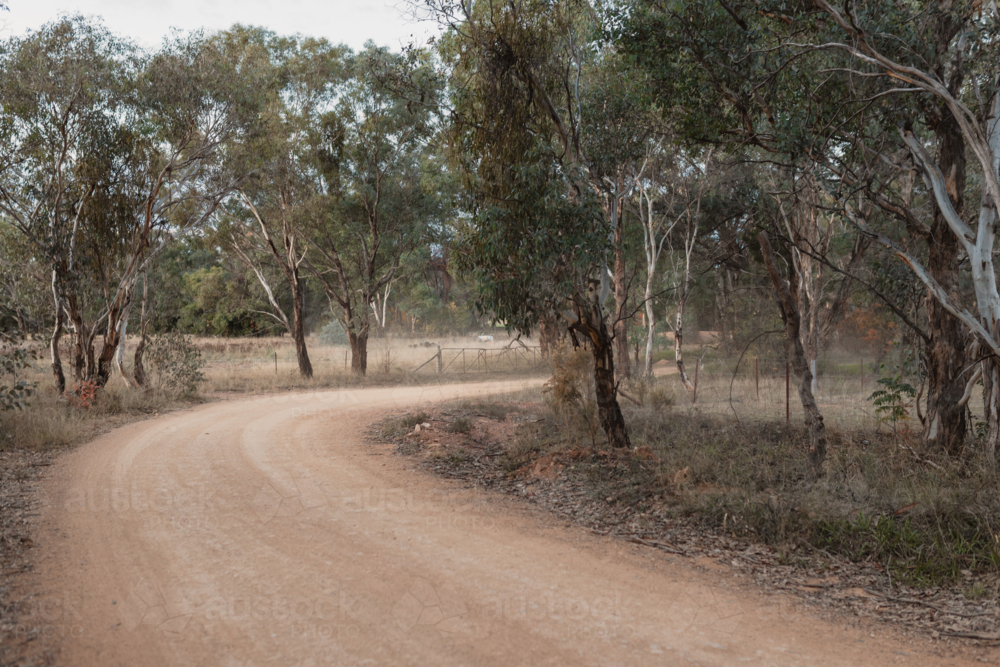 Image of Sharp bend in dusty dirt road in rural Australia - Austockphoto