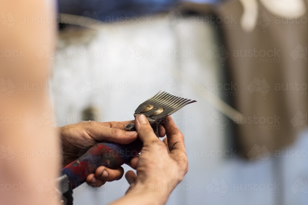 Image of shearer's dirty hands adjusting comb and cutter on handpiece ...
