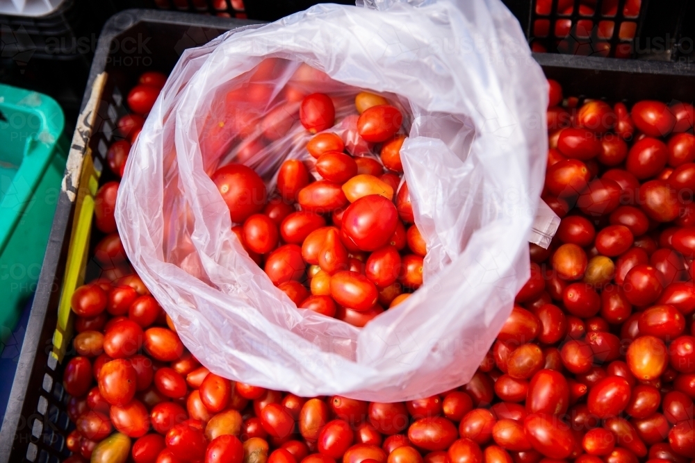 Image of shopping for tomatoes at the farmers markets - Austockphoto