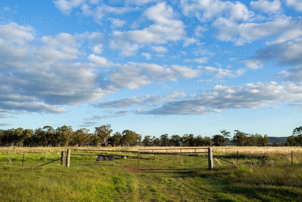 Image of Shut farm gate in afternoon light - Austockphoto