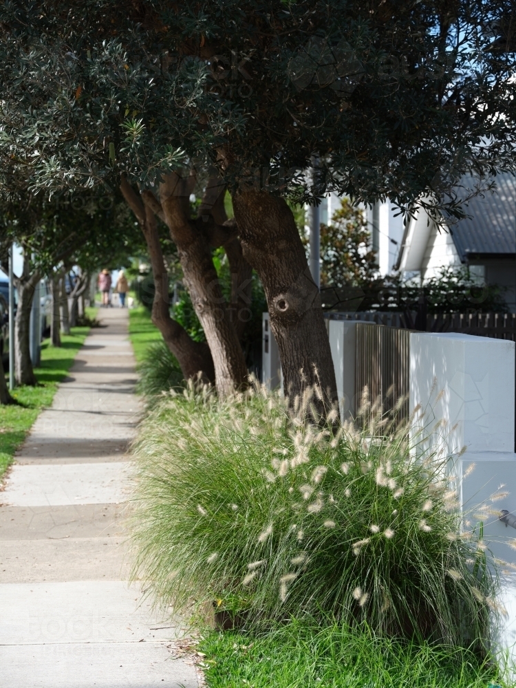 Image of Sidewalk with shrubs weeds and trees - Austockphoto
