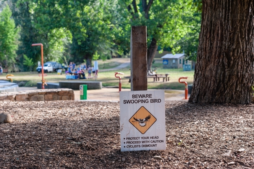 Image of sign reading 'beware swooping birds' - Austockphoto
