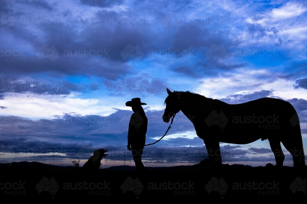 Image of Silhouette of a young country aussie woman standing with dog ...