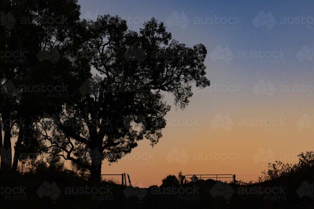 Image of Silhouette of cattle grid crossing on rural country road under ...