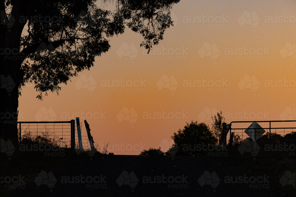 Image of Silhouette of cattle grid crossing on rural country road under ...
