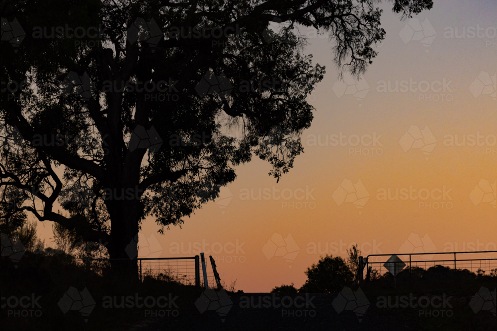 Image of Silhouette of cattle grid crossing on rural country road under ...