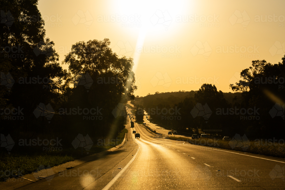 Image of Silhouette of trees beside M15 highway road in golden evening ...