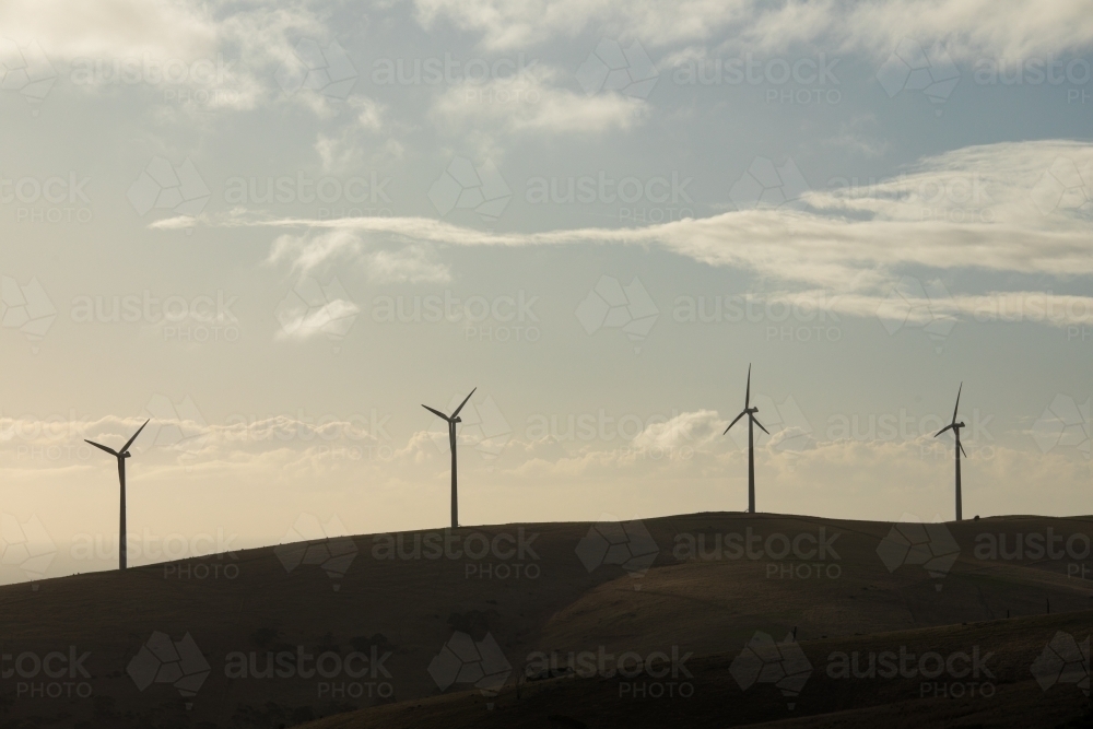 Image of Silhouetted row of wind turbines on a hill in a paddock ...