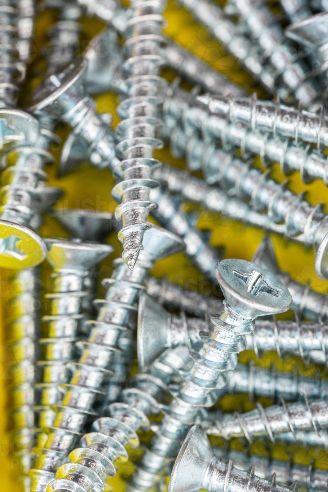 Image of Silver screws close up - Austockphoto