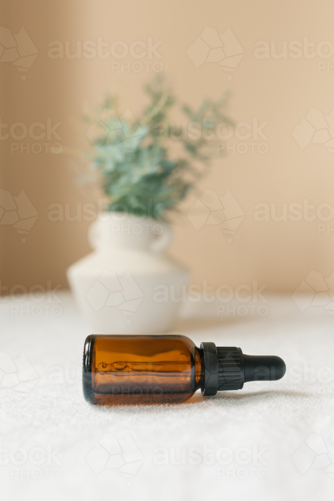 Image of Simple amber essential oil dropper bottle with fresh wattle ...