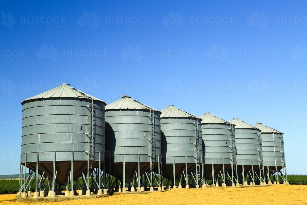 Image of Six grain silos side by side on a farm near Breeza on the ...