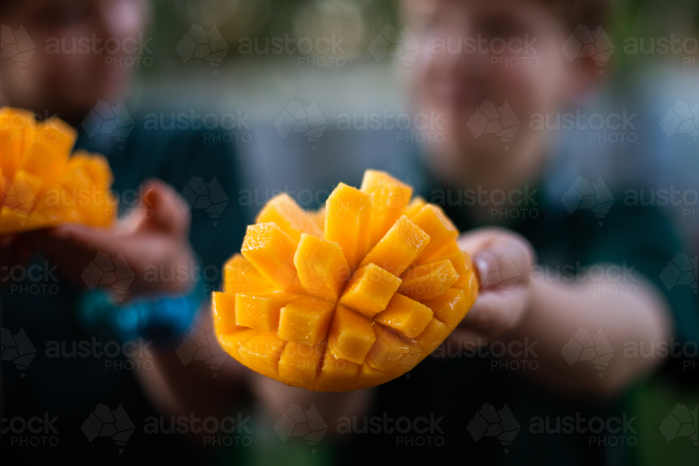Image of sliced mango cheek ready to eat - Austockphoto