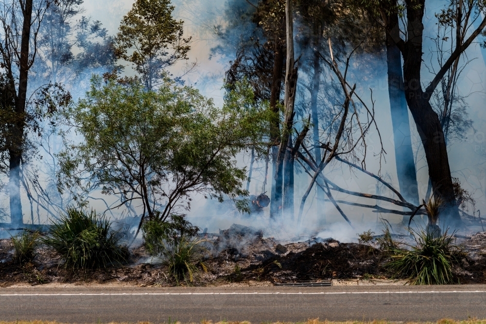 Image of small bushfire - Austockphoto