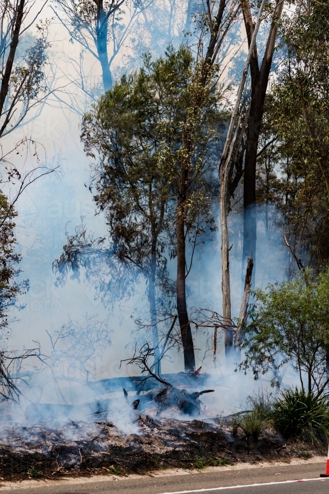 Image of small bushfire - Austockphoto