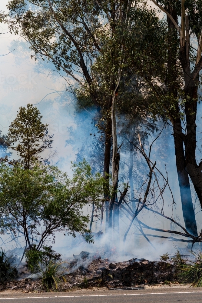 Image of small bushfire - Austockphoto