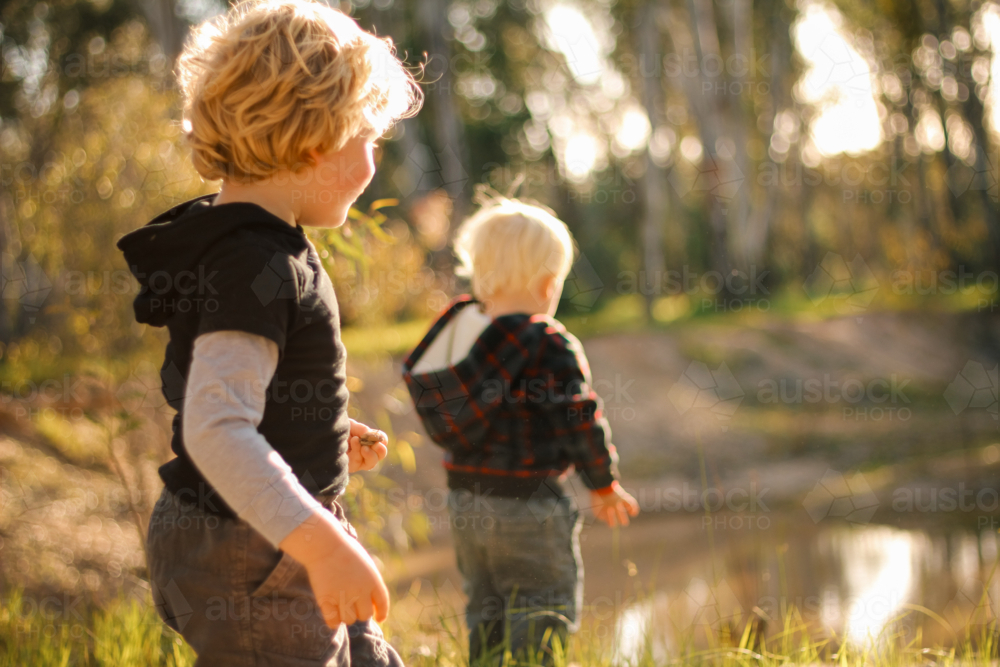 Image of Small children exploring the Australian bush in golden ...