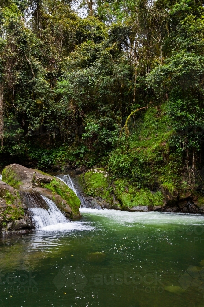 Image of Small waterfall into tranquil green pool on Allyn River ...