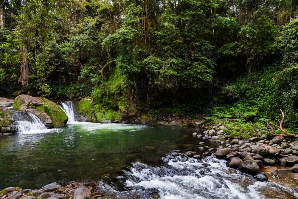 Image of Small waterfall into tranquil green pool on Allyn River ...
