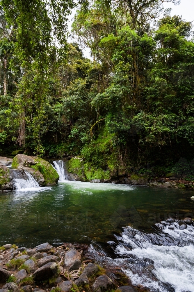 Image of Small waterfall into tranquil green pool on Allyn River ...