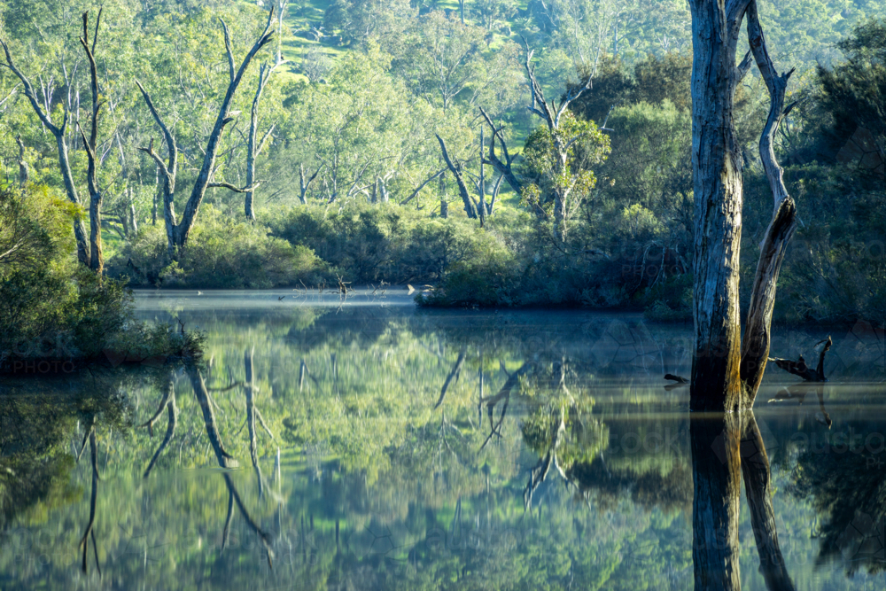 Image of Smooth calm river section with reflections - Austockphoto