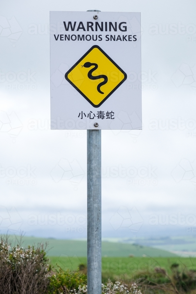 Image of Snake warning sign for tourists - Austockphoto