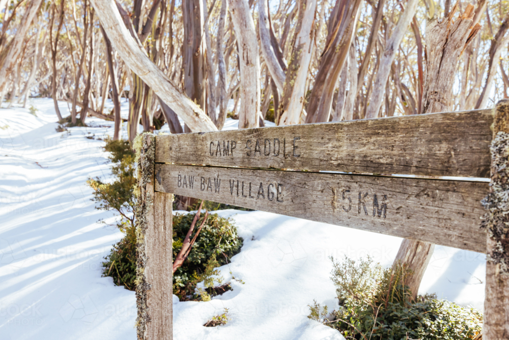 Image of Snow landscape amongst surrounding snow gum trees on a warm ...