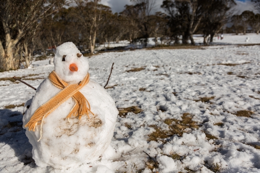 Image of Snowman - Austockphoto