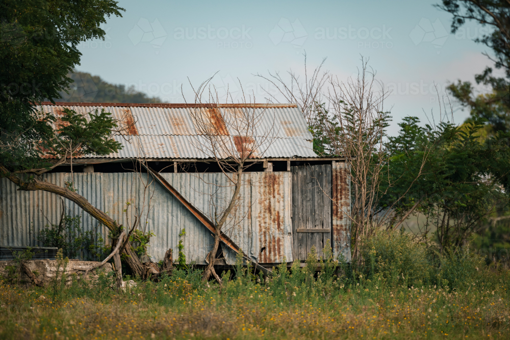 Image of Soft blue sky over rural Australian landscape with rustic ...