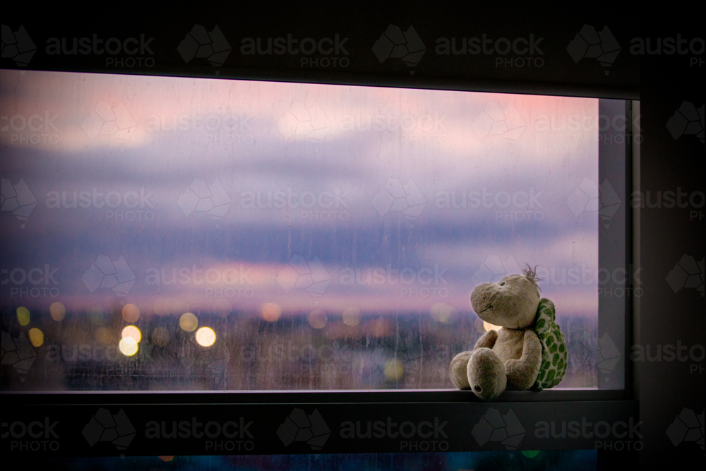 Image of Soft toy turtle sits on a window ledge, gazing at the pastel ...