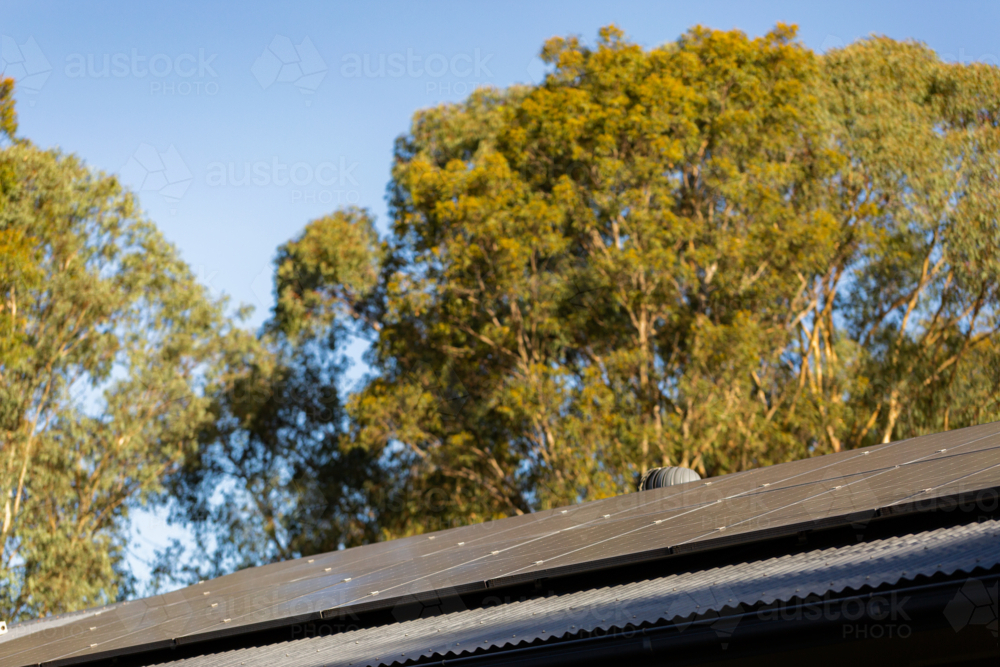 Image of Solar panels on tin roof with gum trees in background ...