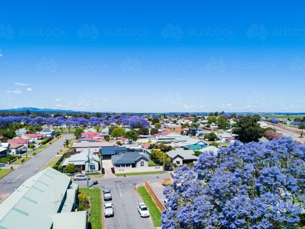 Image of Spring in Singleton, aerial view of streets and brightly ...